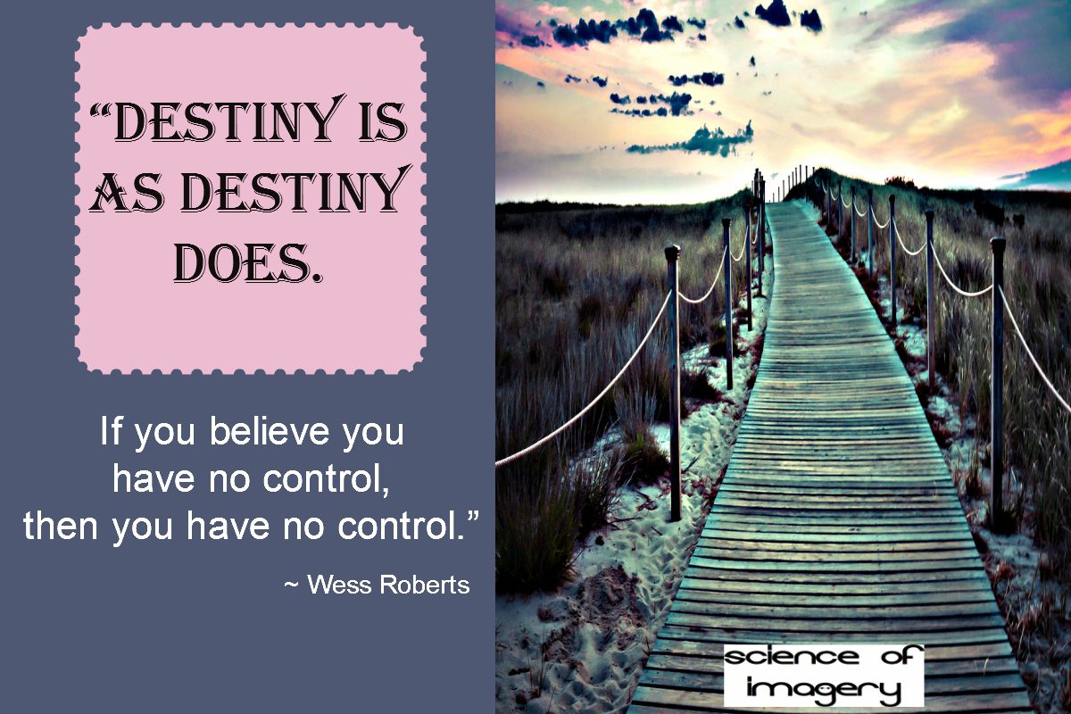 Destiny | Science Of Imagery