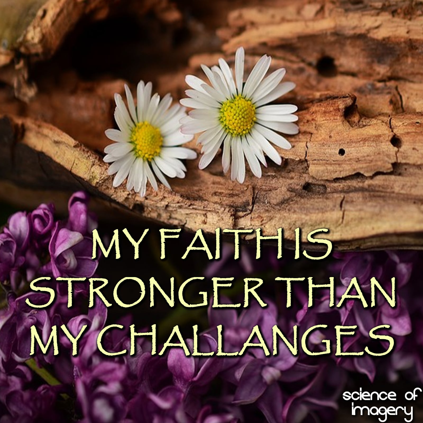 Faith Is Strength | Science Of Imagery