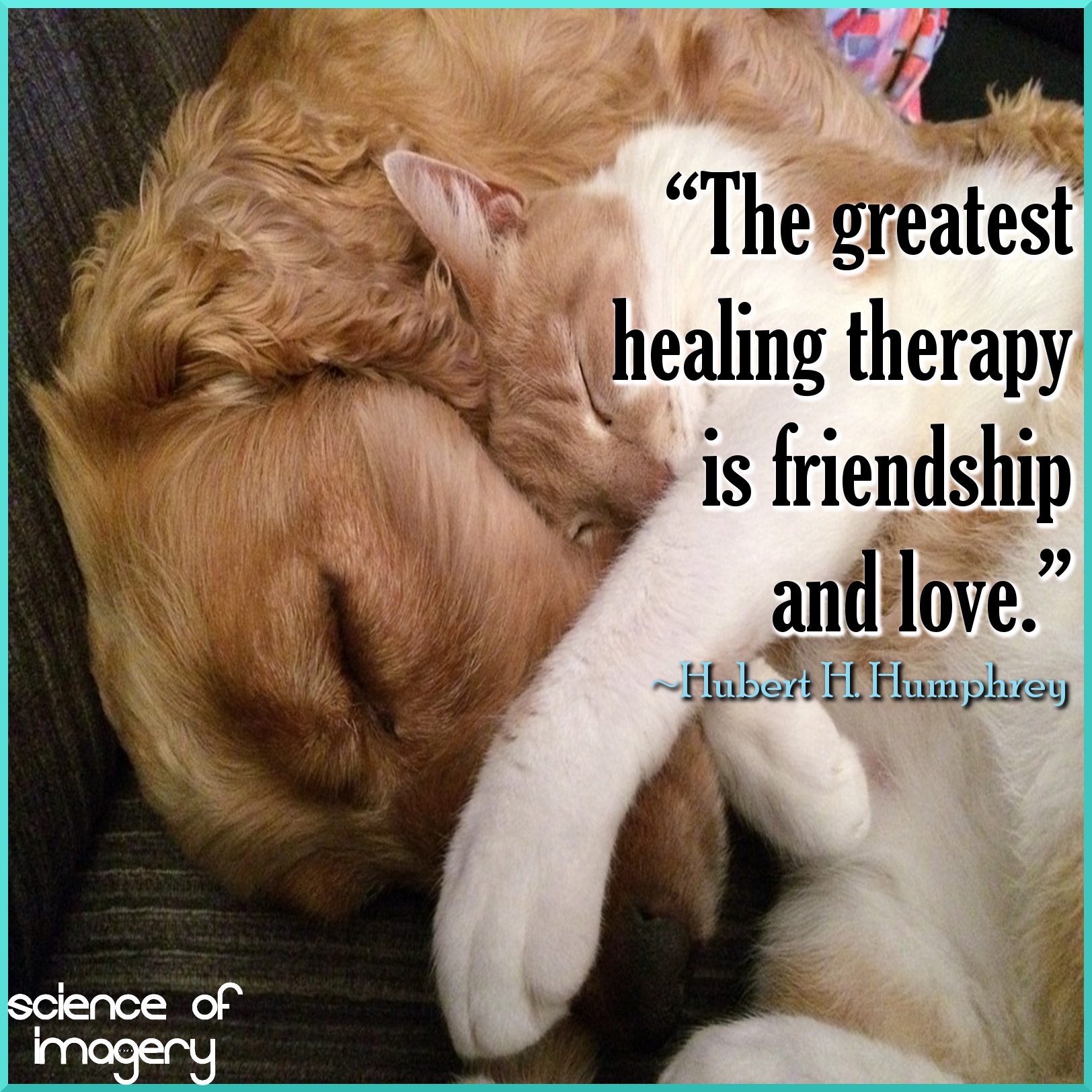 Keep Close Friends Close | Science Of Imagery