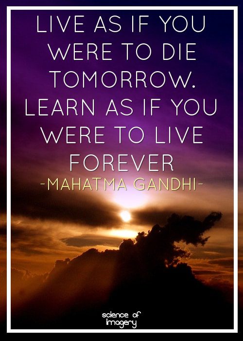 Live Life And Learn Along The Way | Science Of Imagery
